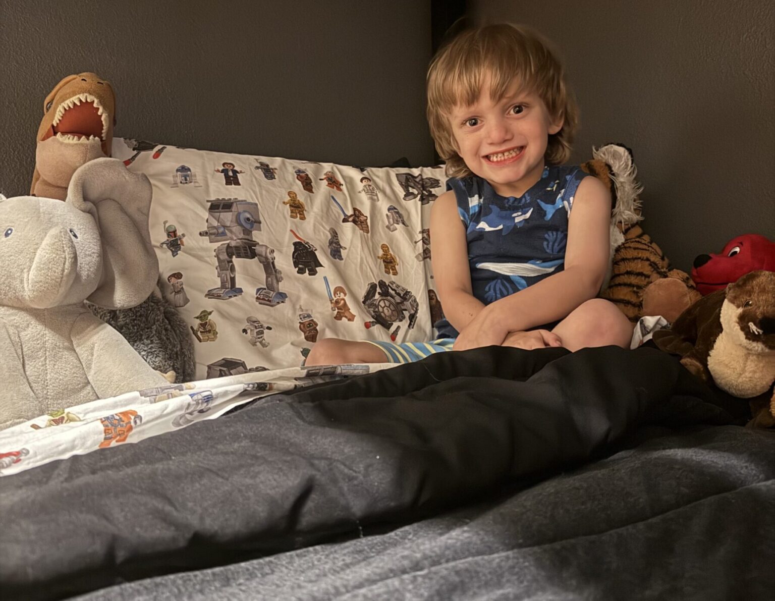 A big-boy bed has been a positive change for our son with Alagille